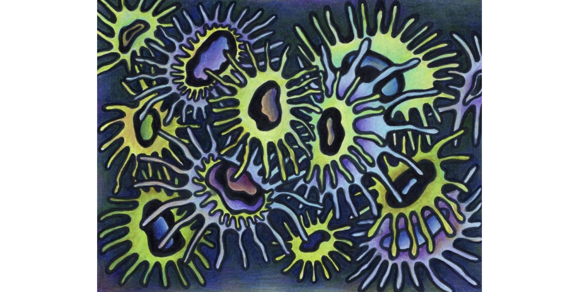Expositieruimte Conscience20
